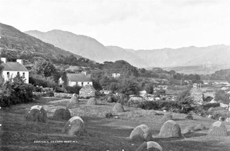 Remembering Maggie Dunne of Adrigole Cumann na mBan - West Cork People