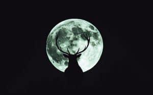 The moon in Irish folklore - West Cork People